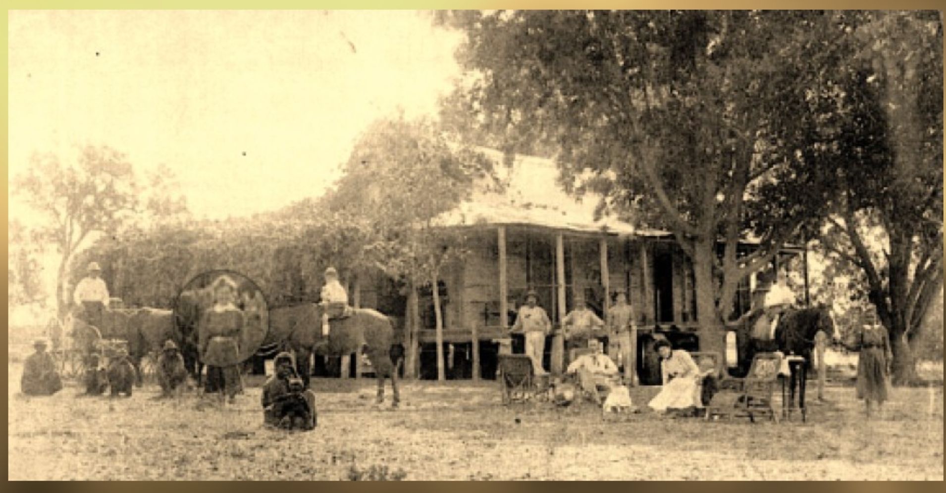 Review: ‘Looking from the North’ – Workers BushTelegraph